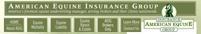 American Equine Insurance Group
